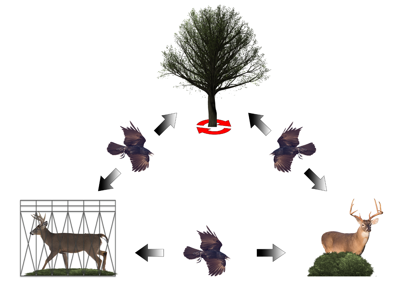 Projects – Walter Applied Spatial Ecology Laboratory